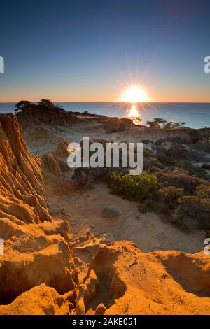 Sunset at Broken Hill Trail, Torrey Pines State Reserve, La Jolla, Ca Stock Photo - Alamy