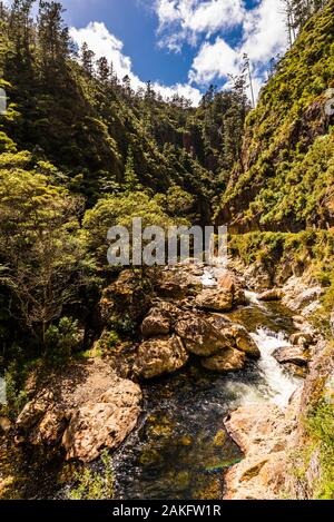 Waitawheta river in Karangahake Gorge, New Zealand Stock Photo - Alamy