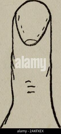 Perin's science of palmistry; a complete and authentic treatise . No. 8 ...