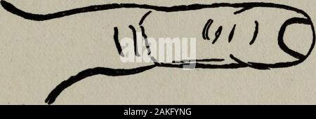 Perin's science of palmistry; a complete and authentic treatise . No. 8 ...