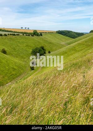Horsedale valley on the Yorkshire wolds with grazing meadows, dry ...