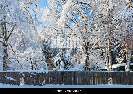 Heavy snowfall in Moscow, Russia Stock Photo - Alamy