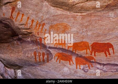 Ancient rock art, drawings of the San people, indigenous people of ...
