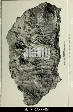 . Report of the geological survey of North Carolina. Vol. I. Physical ...