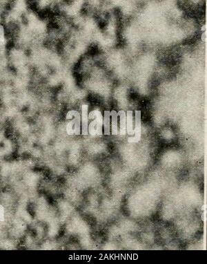 Soil culture and modern farm methods . wth, micro-organisms, insects ...