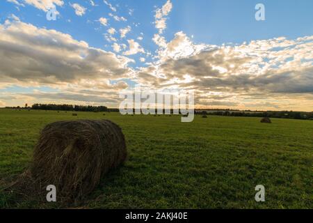 field with haystacks at sunset in early autumn evening Stock Photo - Alamy