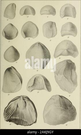 E-2C 3 side drawing Stock Photo - Alamy