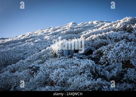 Rime ice covered rock on Great End in the Lake District, UK looking ...