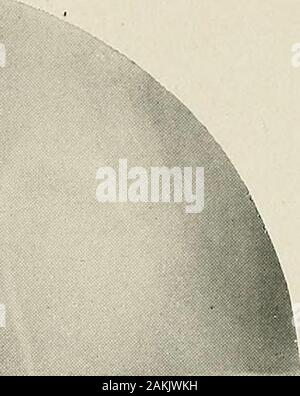 Pyelography (pyelo-ureterography) a study of the normal and pathologic ...