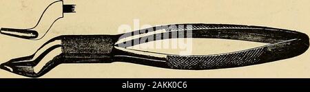 Principles and practice of operative dentistry . Bayonet-shaped ...