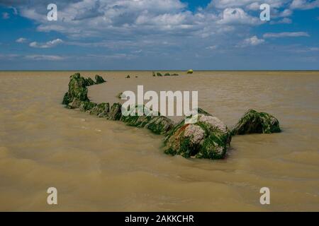 World War shipwreck covered with algae at a beach in northern France ...