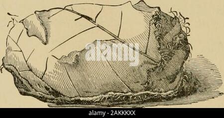 yellow indented lines on a brown jagged background Stock Photo - Alamy