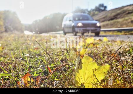 Summer vibes on the sunny autumn beach of Malvarrosa in Valencia, Spain ...