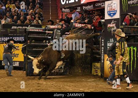 NEW YORK, NEW YORK - JANUARY 04: Mason Taylor rides Gaucho during ...