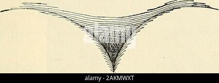 . Modern surgery, general and operative. ??^..¥i Stock Photo - Alamy