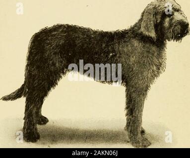 King Henry VIII Hunting Stock Photo - Alamy