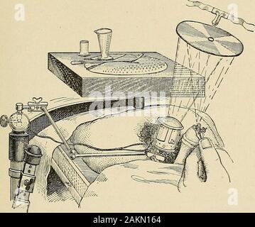 A manual of syphilis and the venereal diseases, . Fig. 2.—Large ...