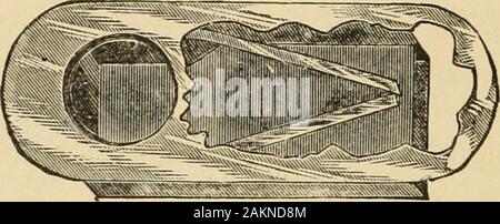 Bo Bo Poultry Market Stock Photo - Alamy