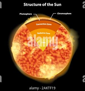 Diagram showing structure of the Sun illustration Stock Vector Image ...
