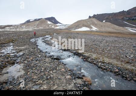 Champ Island, Franz Josef Land, Russian Arctic Stock Photo - Alamy
