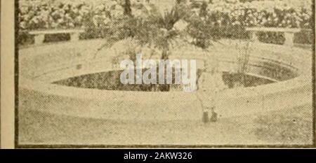 Bo Bo Poultry Market Stock Photo - Alamy