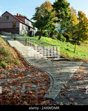 Group of maple leafs on a path Stock Photo - Alamy
