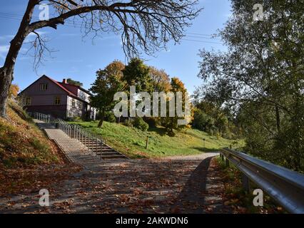 Group of maple leafs on a path Stock Photo - Alamy