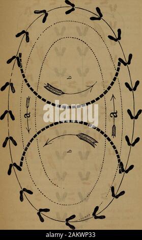 Diagram of PACE Stock Photo - Alamy