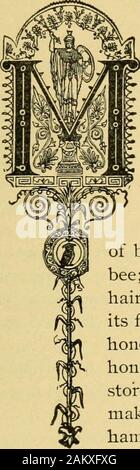 God the Geometer Stock Photo - Alamy