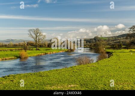 River Towy and Tywi Valley in Spring llandeilo Carmarthenshire Wales ...