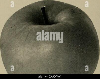Apple orchards of central New York state Stock Photo - Alamy