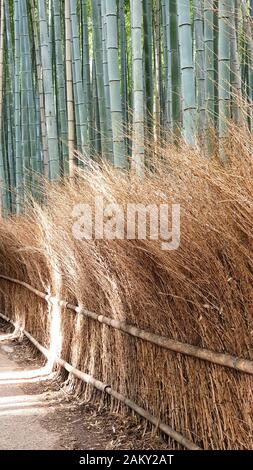 Arashiyama Bamboo Forest. Pathways surrounded by Bamboo. Kyoto - Japan ...