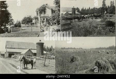 Pacific Coast Condensed Milk Co works at Kent Stock Photo - Alamy