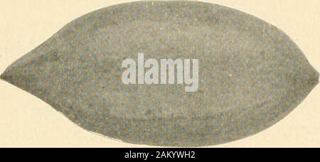 Illustrated catalogue and price-list of grafted, budded and choice ...