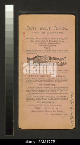 The Dade Monuments The Dade Monuments.; The Dade Monuments Stock Photo ...