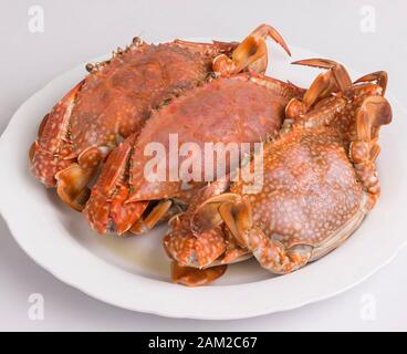 Steamed crabs on white background Stock Photo - Alamy