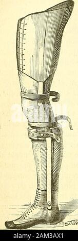 La dissection des parties du corps humain by Charles Estienne (1504-ca ...