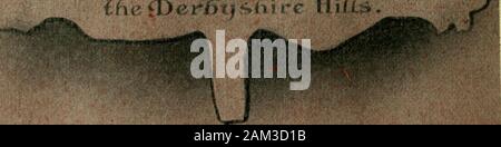 The Harness makers' guide Stock Photo - Alamy