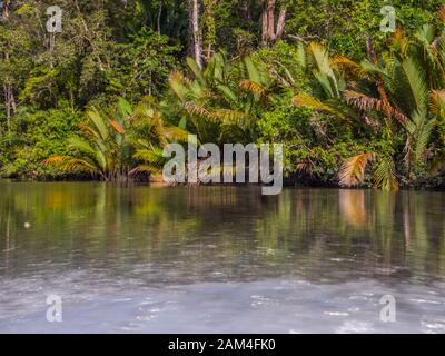 Arguni, Bird's Head Peninsula, West Papua, Indonesia, Asia Stock Photo ...