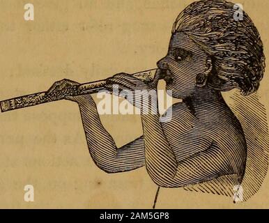 Musical instrument made of conch shell, Odawara Castle, Japan Stock ...