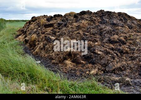 Pile of organic compost manure fertiliser by arable field Sutton ...