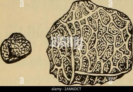 Tin chloride or stannous chloride is a white crystalline solid used as ...