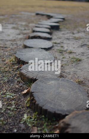 Tree stump pathway Stock Photo - Alamy
