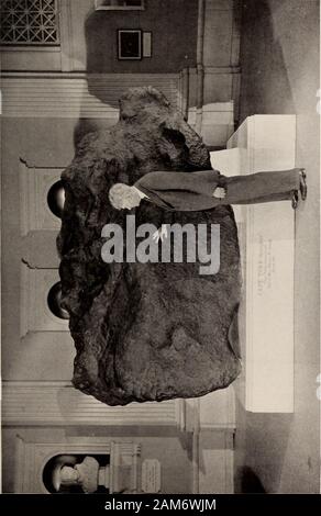 The American Museum of Natural History, 8, Ahnighito, Meteorite Stock ...