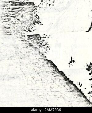 The life of Francis Daniel Pastorius, the founder of Germantown ...