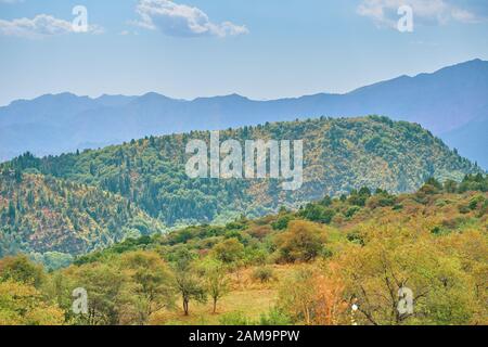 Mountains. Dense forests among hills and highland. Happy international ...