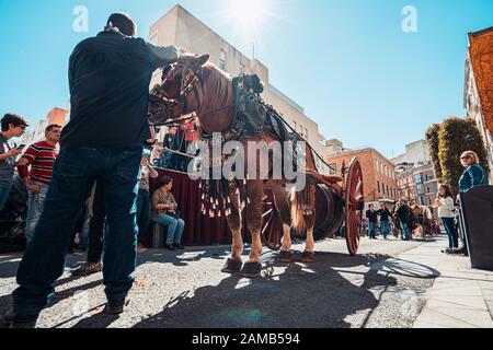 Reus, Spain. March 2019: Horses blessing in St. Anthony's day Stock ...