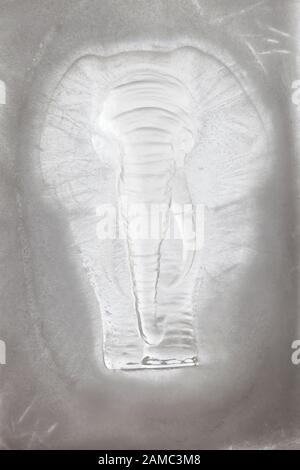 Elephant in Ice. An ice sculpture of an elephant's trunk. Winterlude ...