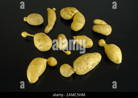 deformed organic potatoes on a black background Stock Photo - Alamy