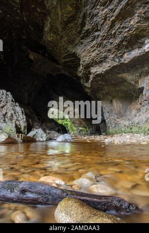 Oparara Arch in the Oparara Basin, Karamea, West Coast, South Island ...